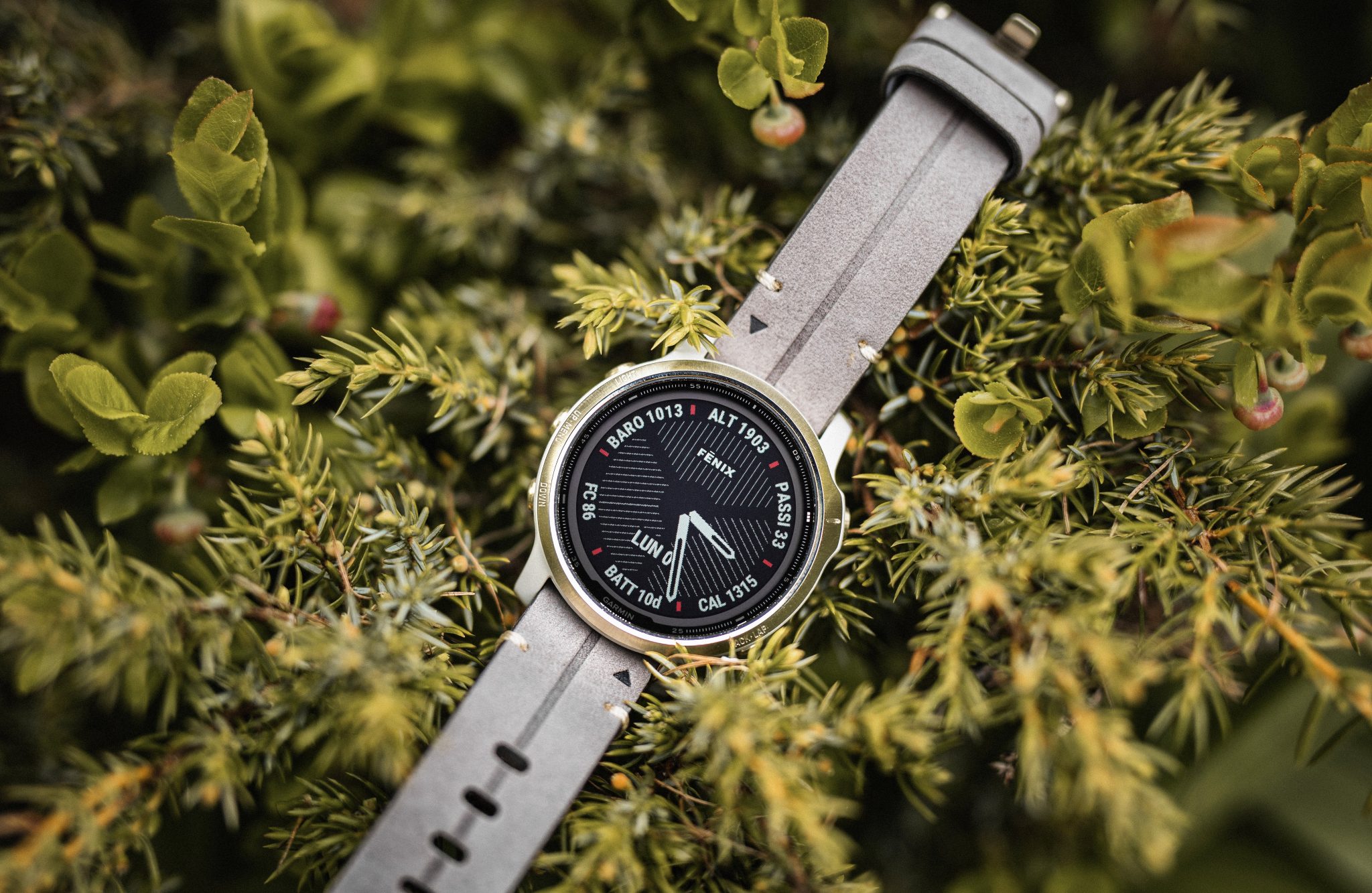 4 Reasons to Own a Garmin Smartwatch - First Class Watches Blog