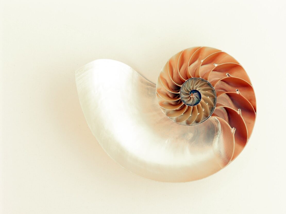 Top 5 Women's Mother-of-Pearl Watches - First Class Watches Blog